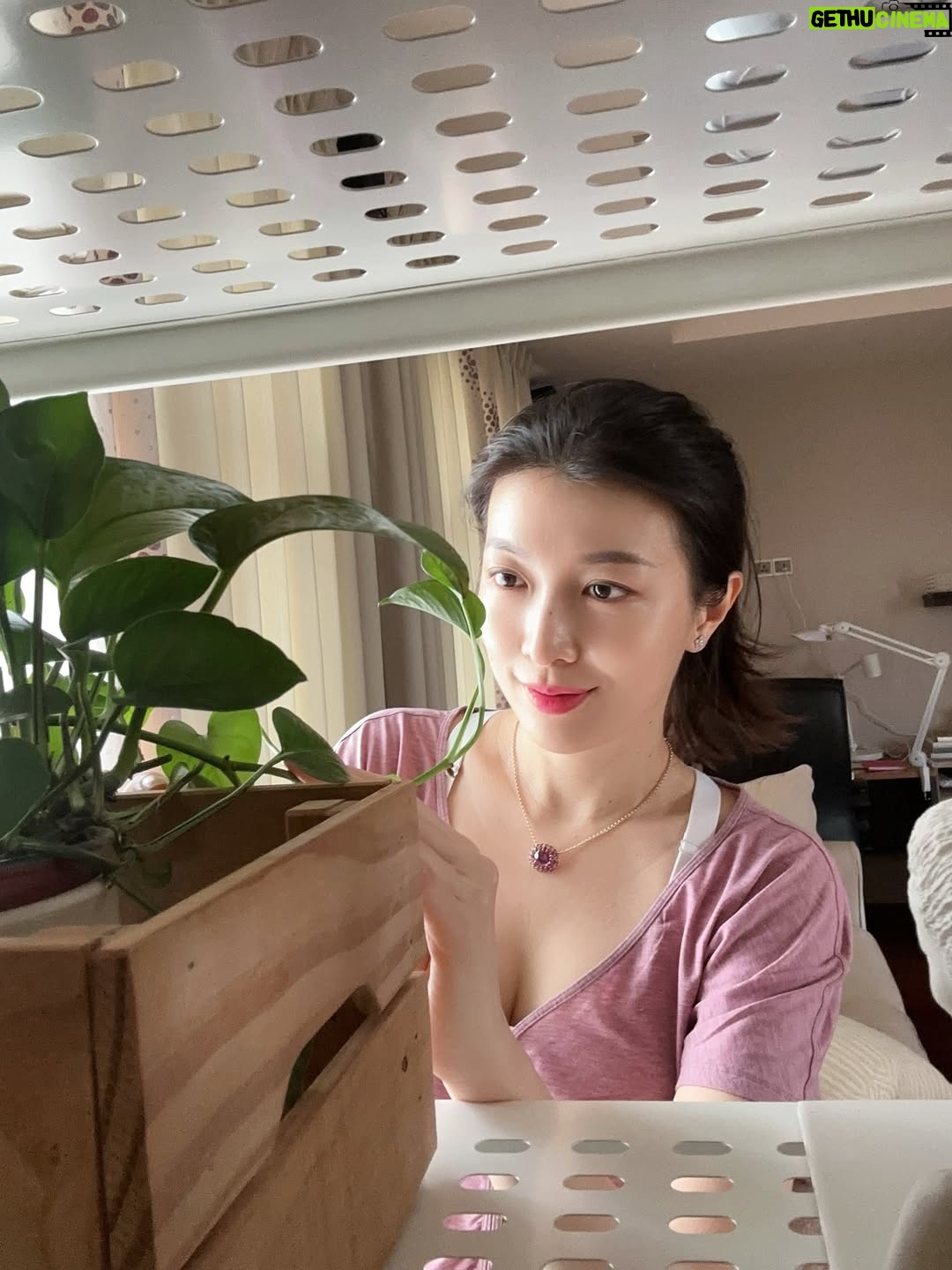 Moe Set Wine Wiki, Biography, Age, Photos, Spouse and more