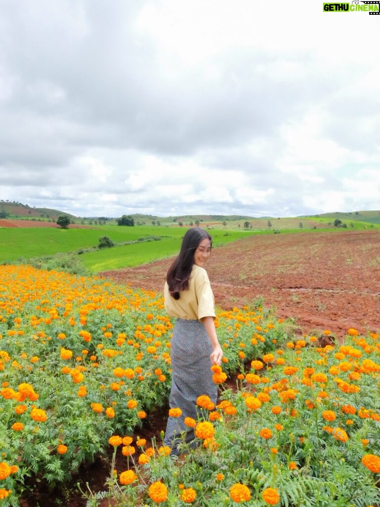 Actress Naw Phaw Eh Htar HD Photos and Wallpapers August 2025 | Gethu Cinema