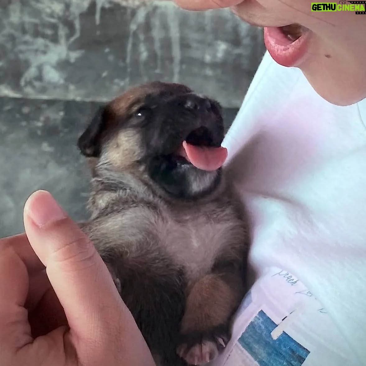 Paing Phyo Thu | Gethu Cinema