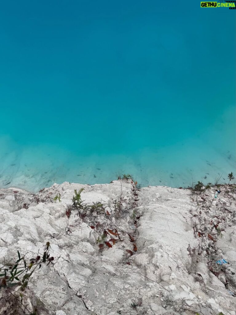 Actress Raline Shah HD Photos and Wallpapers August 2025 | Gethu Cinema