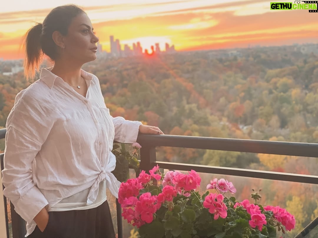 Shabnam Farshadjoo Wiki, Biography, Age, Photos, Spouse and more