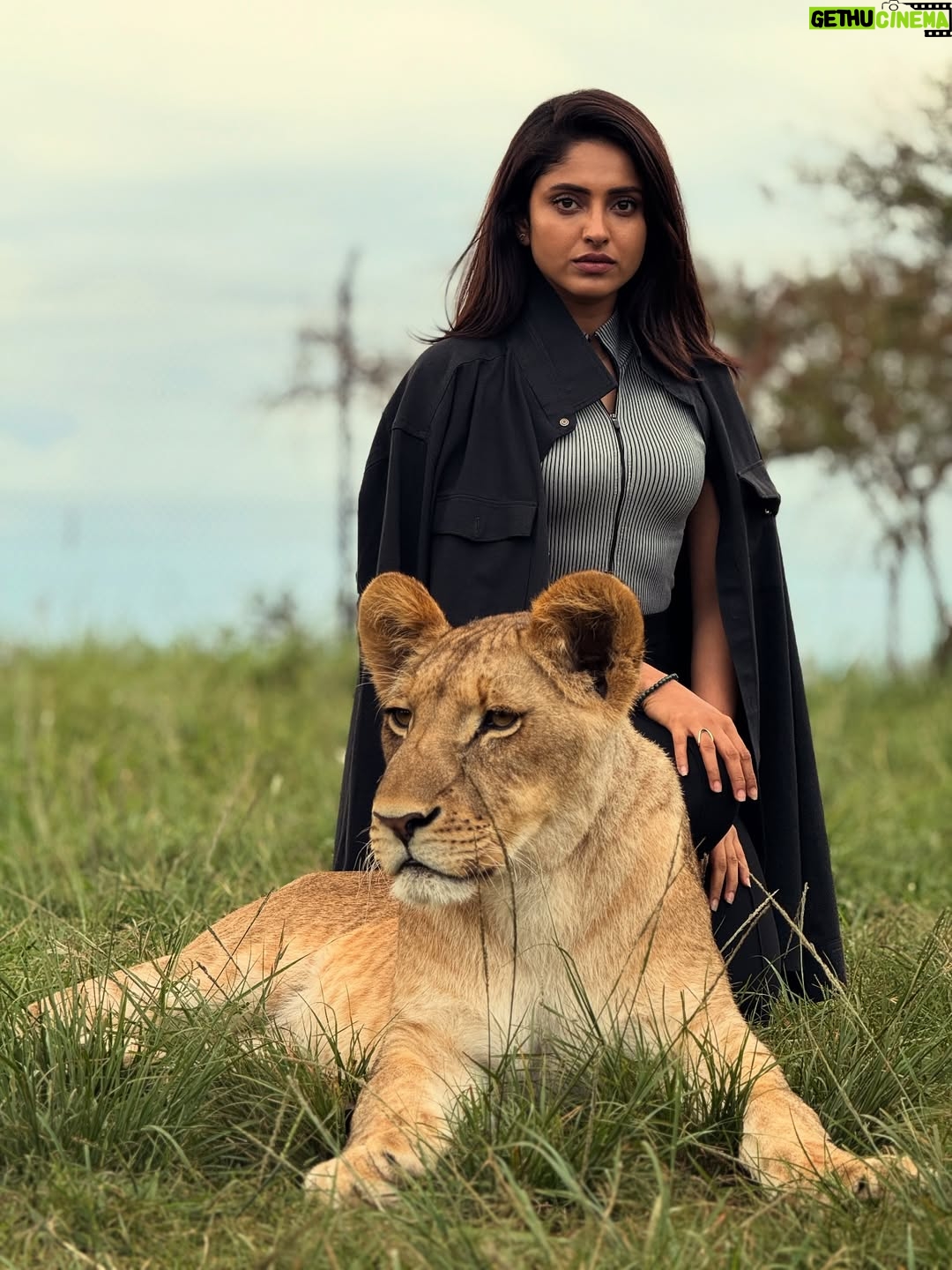 Actress Ayesha Zeenath HD Photos and Wallpapers May 2025 | Gethu Cinema