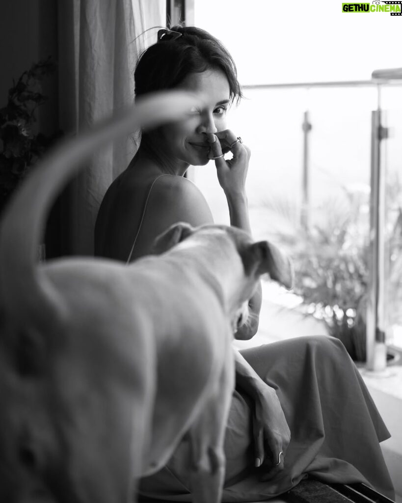 Actress Dissha Pardeshi HD Photos and Wallpapers October 2025 | Gethu ...