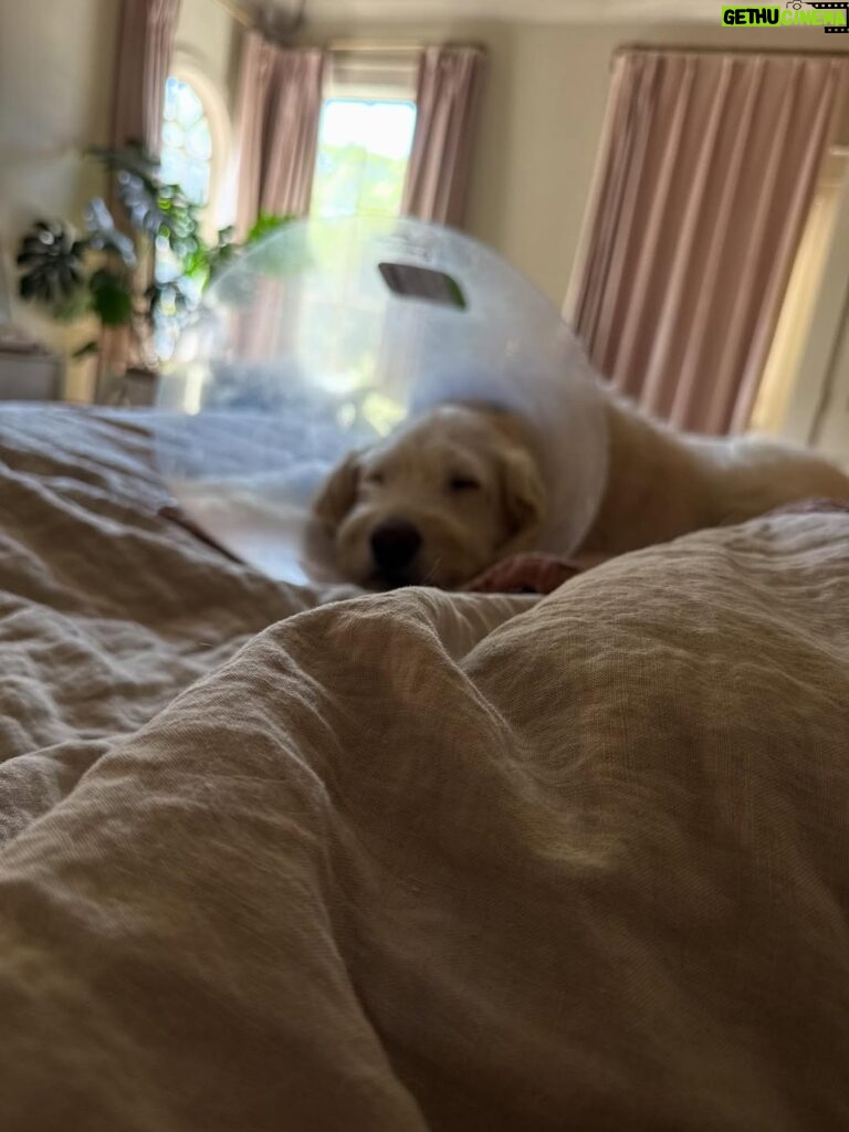 Actress Kelsea Ballerini HD Photos and Wallpapers September 2025 ...