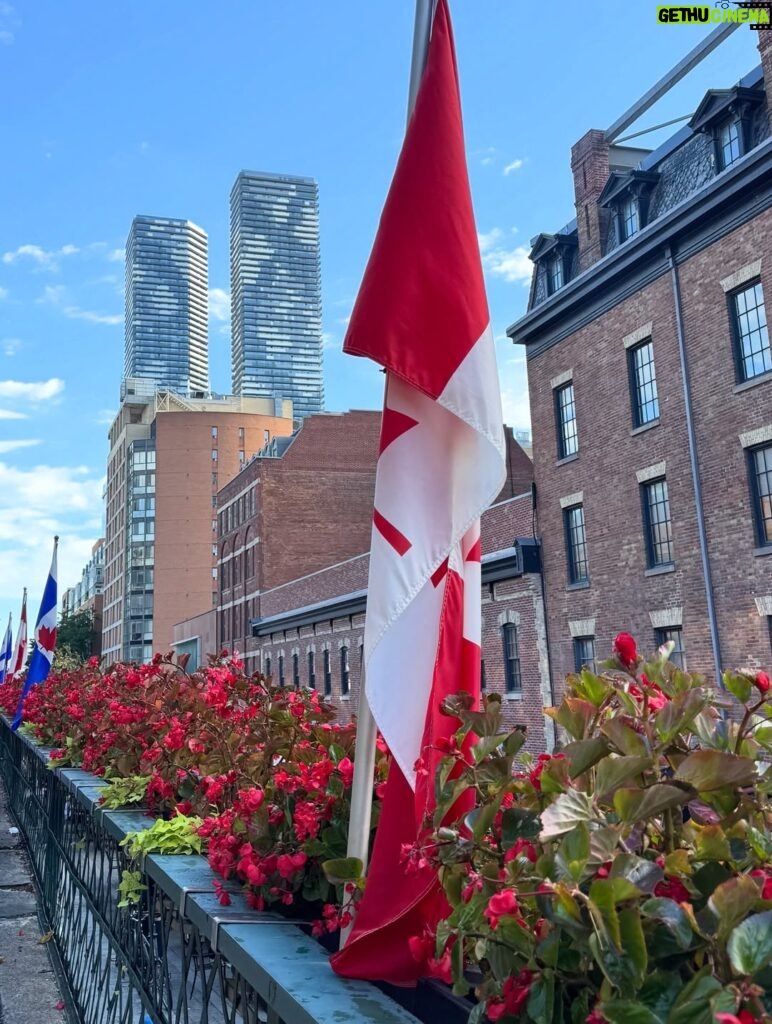 Actress Priscila Buiar HD Photos and Wallpapers October 2025 | Gethu Cinema