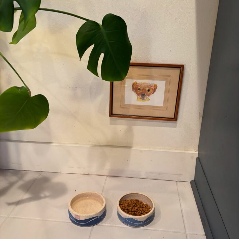 Actress Marta Piekarz HD Photos and Wallpapers August 2025 | Gethu Cinema