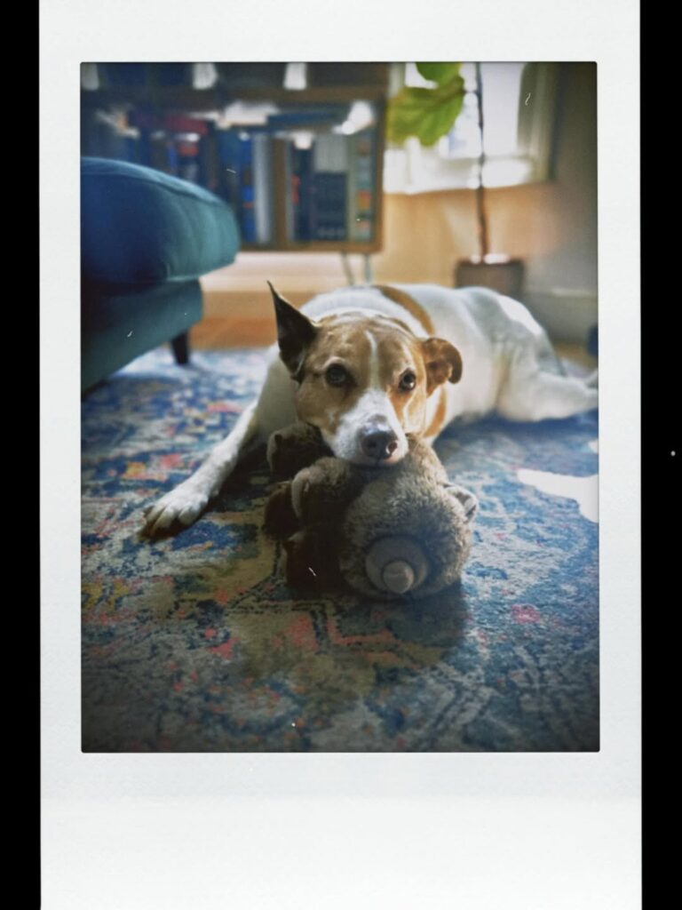 Actress The Blessed Madonna HD Photos and Wallpapers December 2025 ...