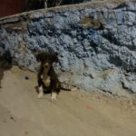 Aishwarya Shindogi | Gethu Cinema