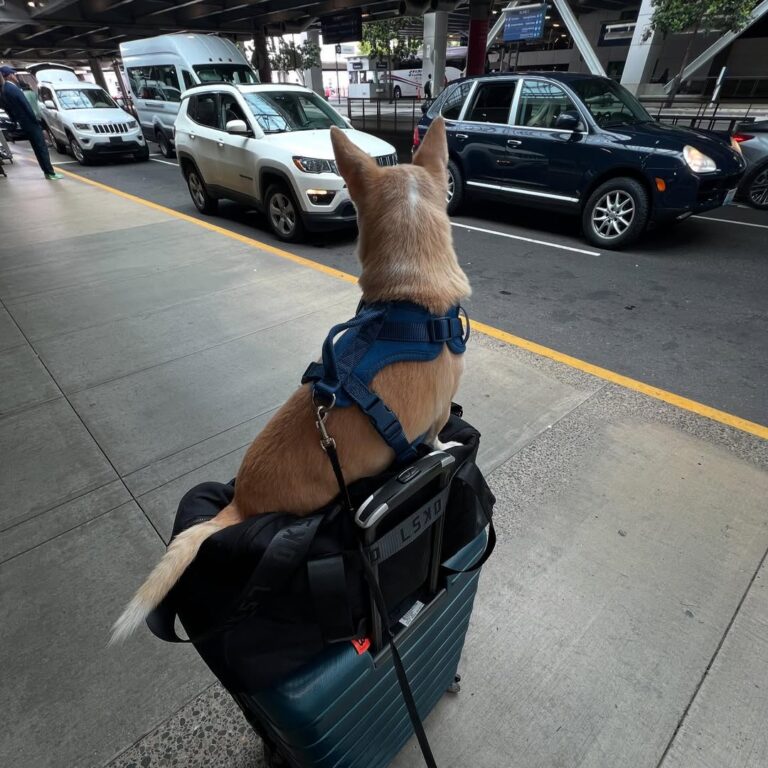 Actress Alexandra Johnson HD Photos and Wallpapers August 2025 | Gethu ...