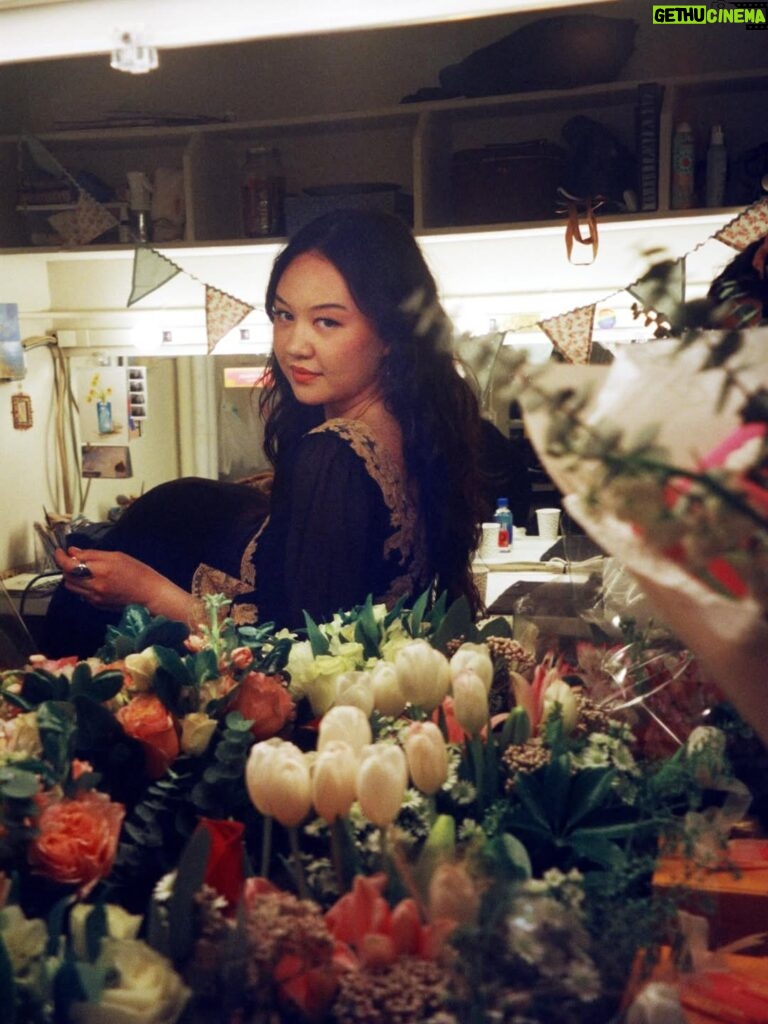 Actress Amalia Yoo HD Photos and Wallpapers September 2025 | Gethu Cinema