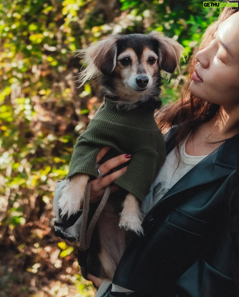 Actress Choi Hee-seo HD Photos and Wallpapers November 2025 | Gethu Cinema