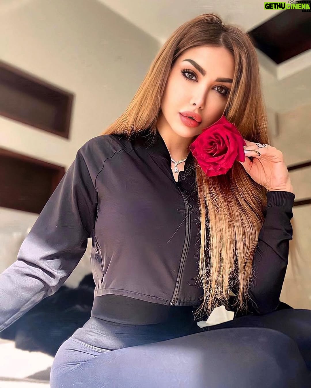 Actress Dana Jabr HD Photos and Wallpapers November 2025 | Gethu Cinema