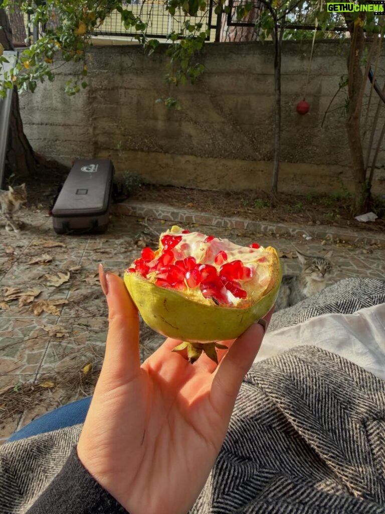 Actress Kayra Zabc? HD Photos and Wallpapers November 2025 | Gethu Cinema