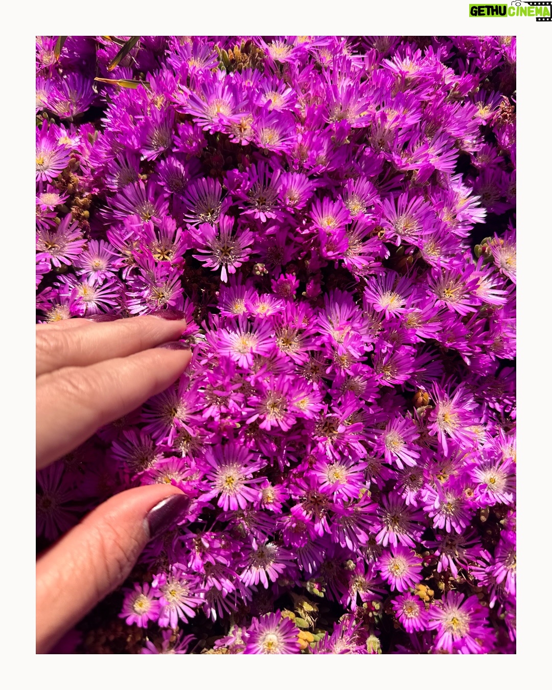 Lola Ponce | Gethu Cinema