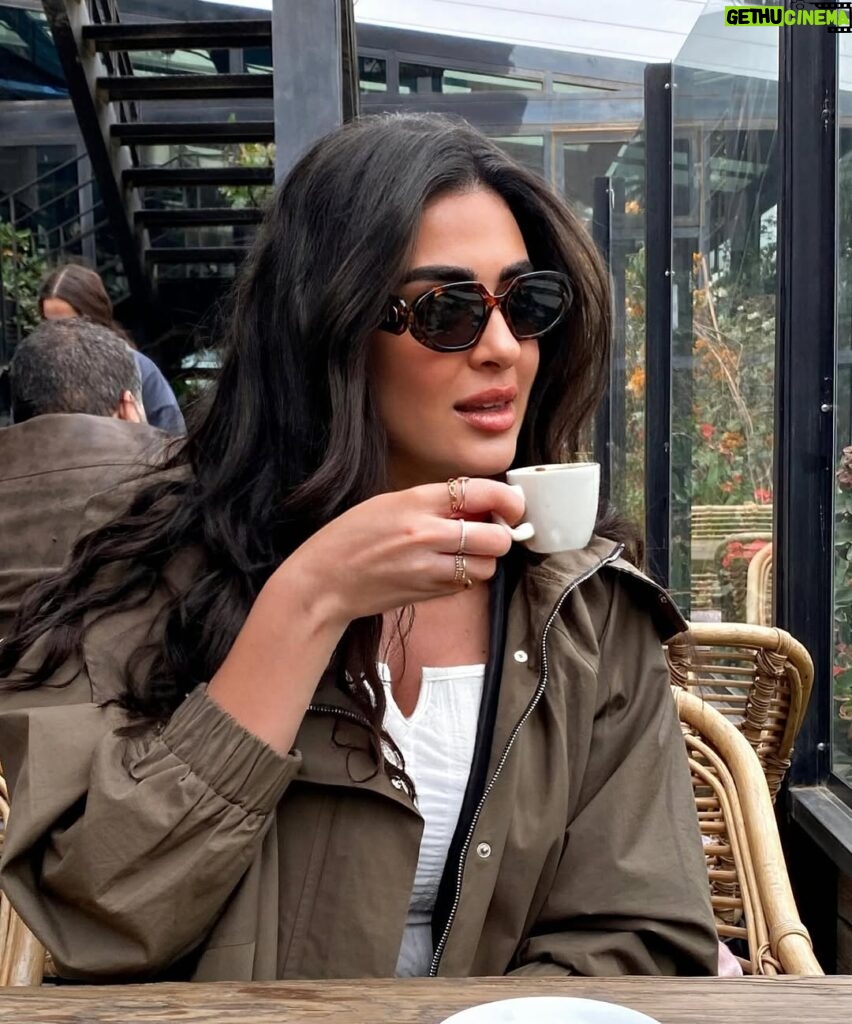 Actress Myrna Nour El Din HD Photos and Wallpapers January 2026 | Gethu ...