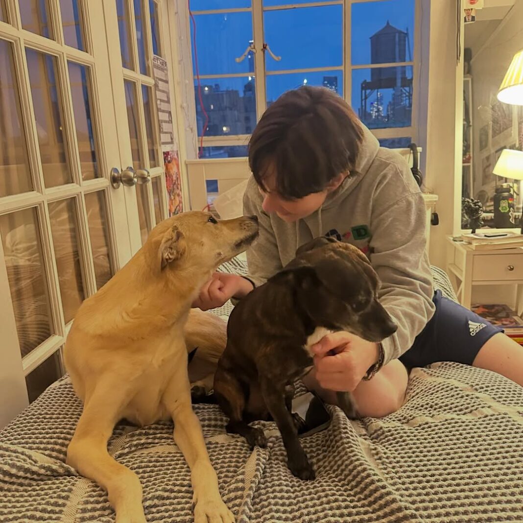 Actress Oona Laurence HD Photos and Wallpapers July 2025 | Gethu Cinema