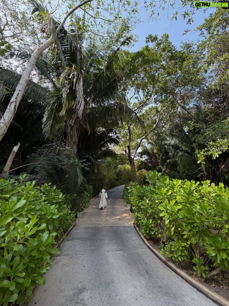 Actress Rebecca Rittenhouse HD Photos and Wallpapers January 2026 ...