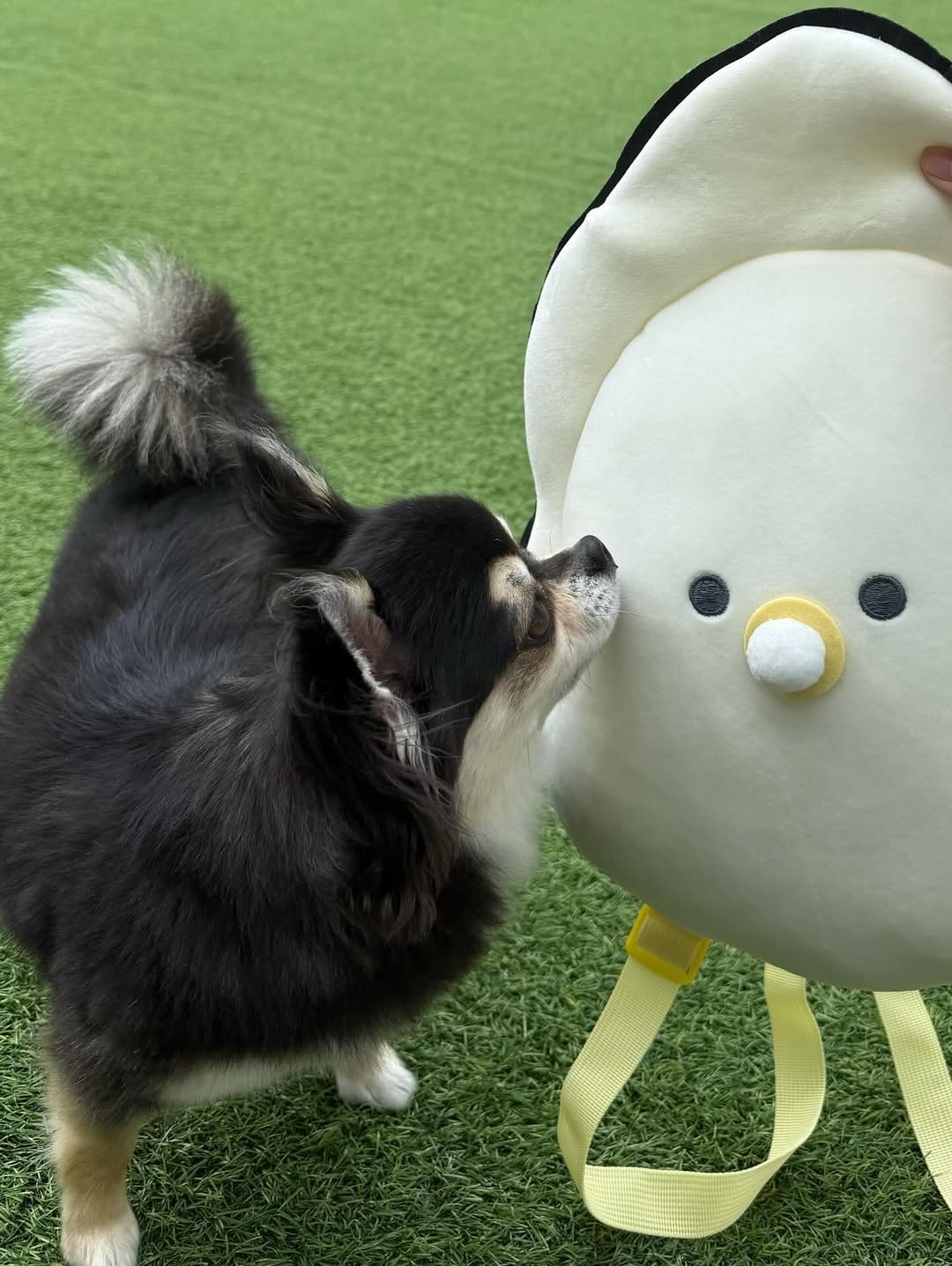 Actress Ririka Tanabe HD Photos and Wallpapers November 2025 | Gethu Cinema