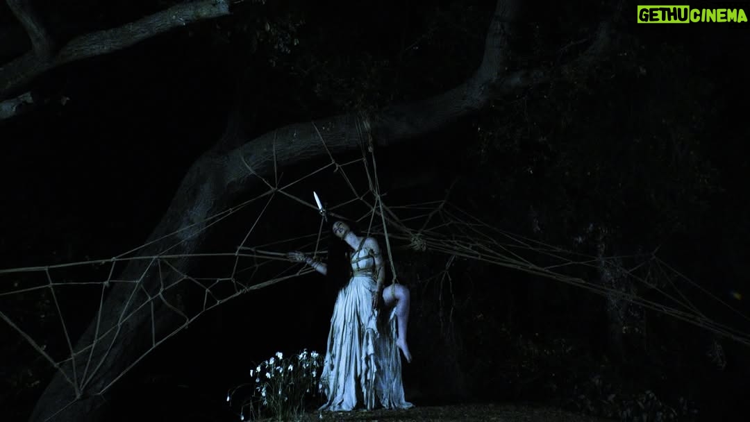 Actress Shelby Lee HD Photos and Wallpapers October 2025 | Gethu Cinema