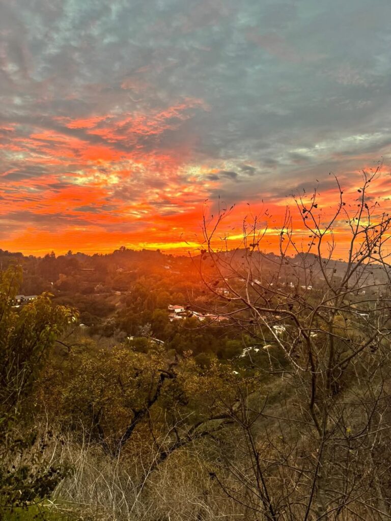 Actress Sonja Gerhardt HD Photos and Wallpapers December 2025 | Gethu ...