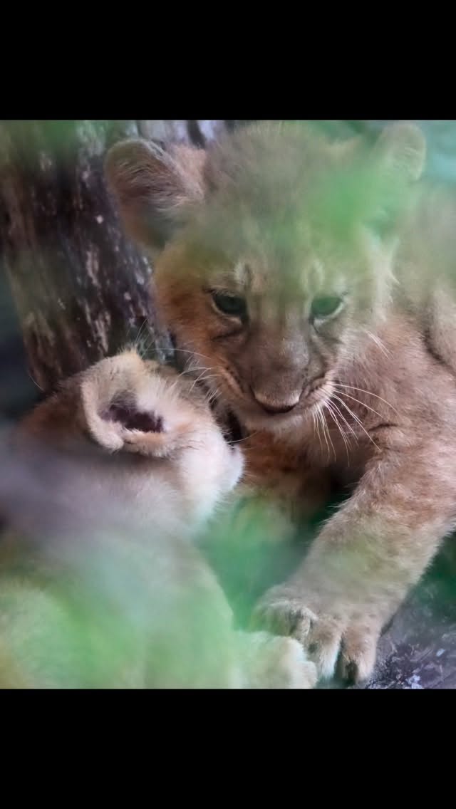 Actress Sri Sudha Bhimireddy HD Photos and Wallpapers December 2025 ...